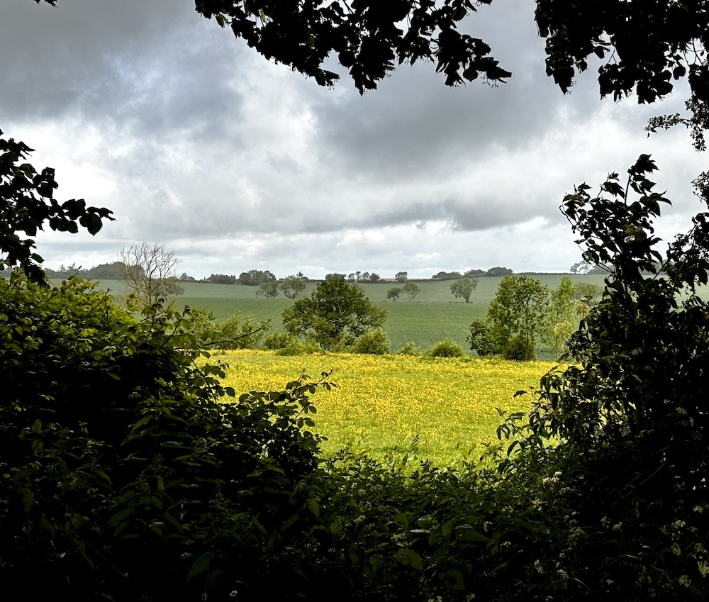 Home | Drayton Parslow Sports & Social Club