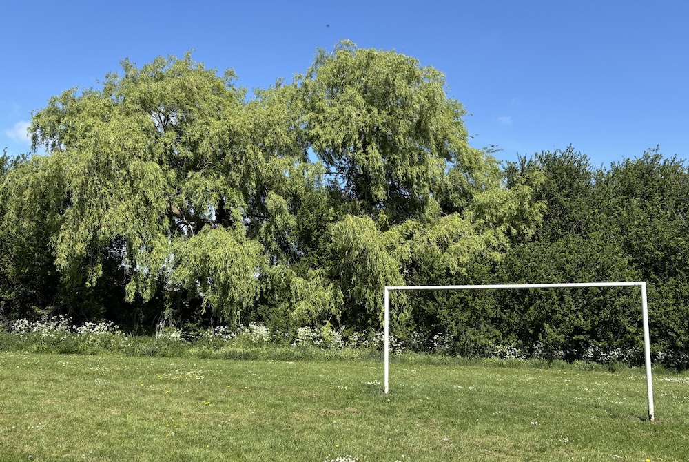 Home | Drayton Parslow Sports & Social Club