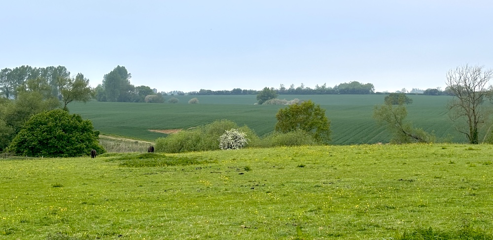 Home | Drayton Parslow Sports & Social Club